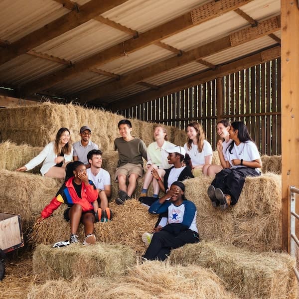 Home [studiobark.co.uk]